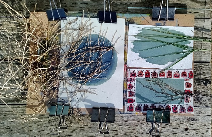 CYANOTYPE :: dugraphismesurlapresquile